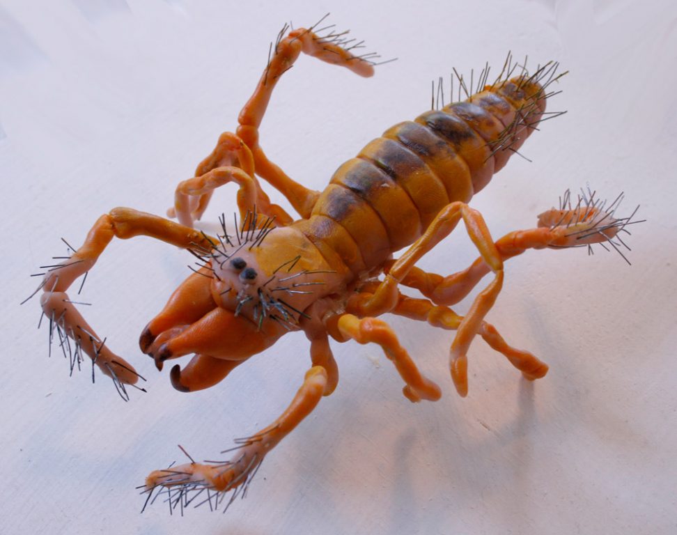 ELE_SCULP-SOLIFUGAE – Hebets Lab