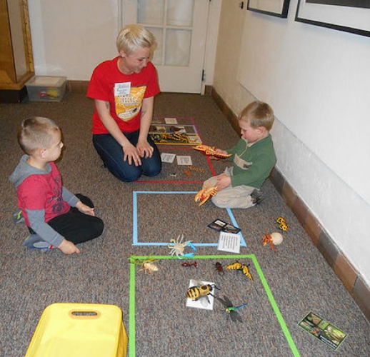 What Is an Arthropod Activity – Hebets Lab